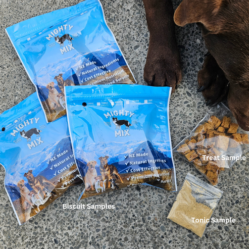 Free Samples – The Brown Dog